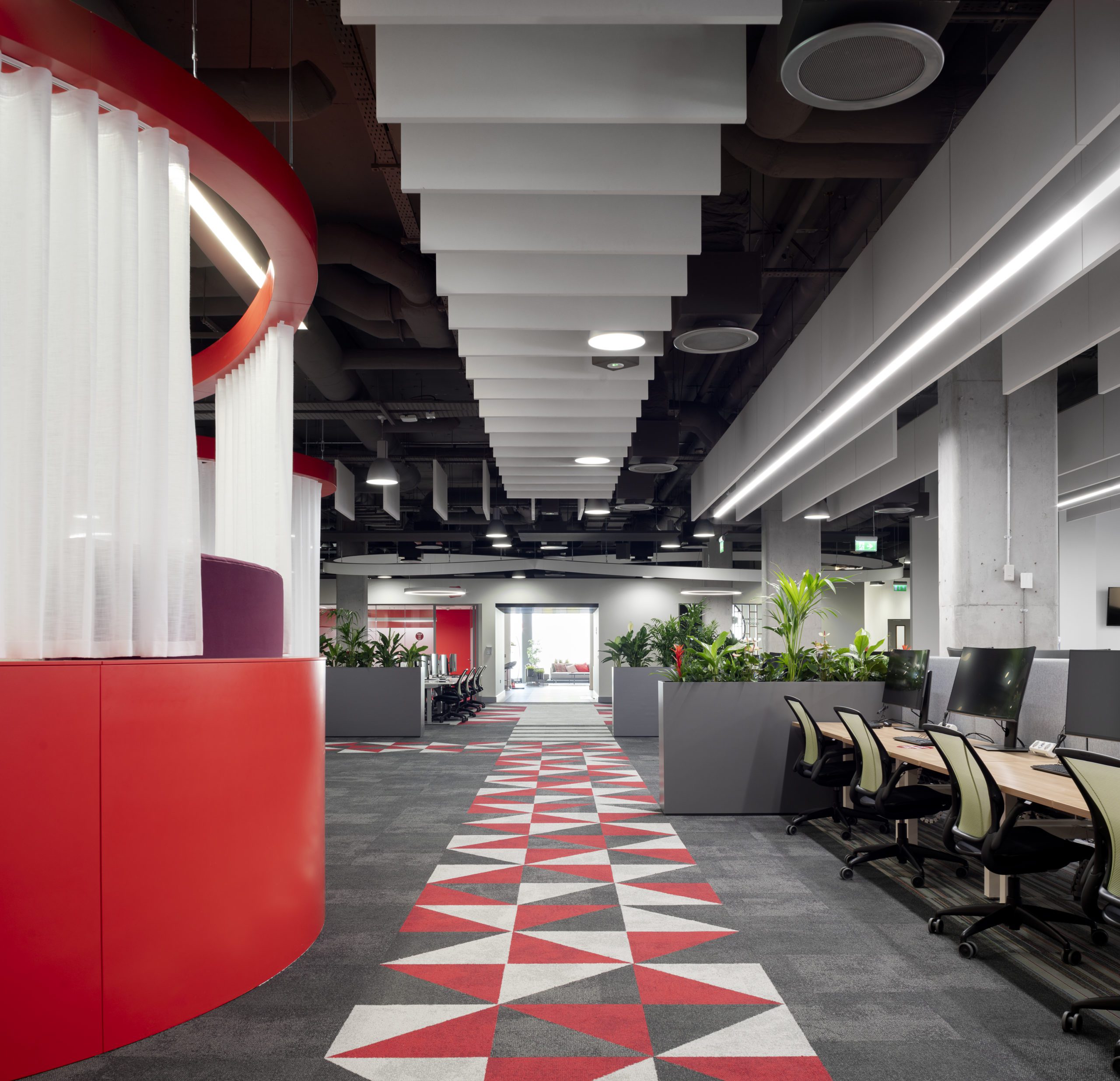 Virgin Media - ICONS